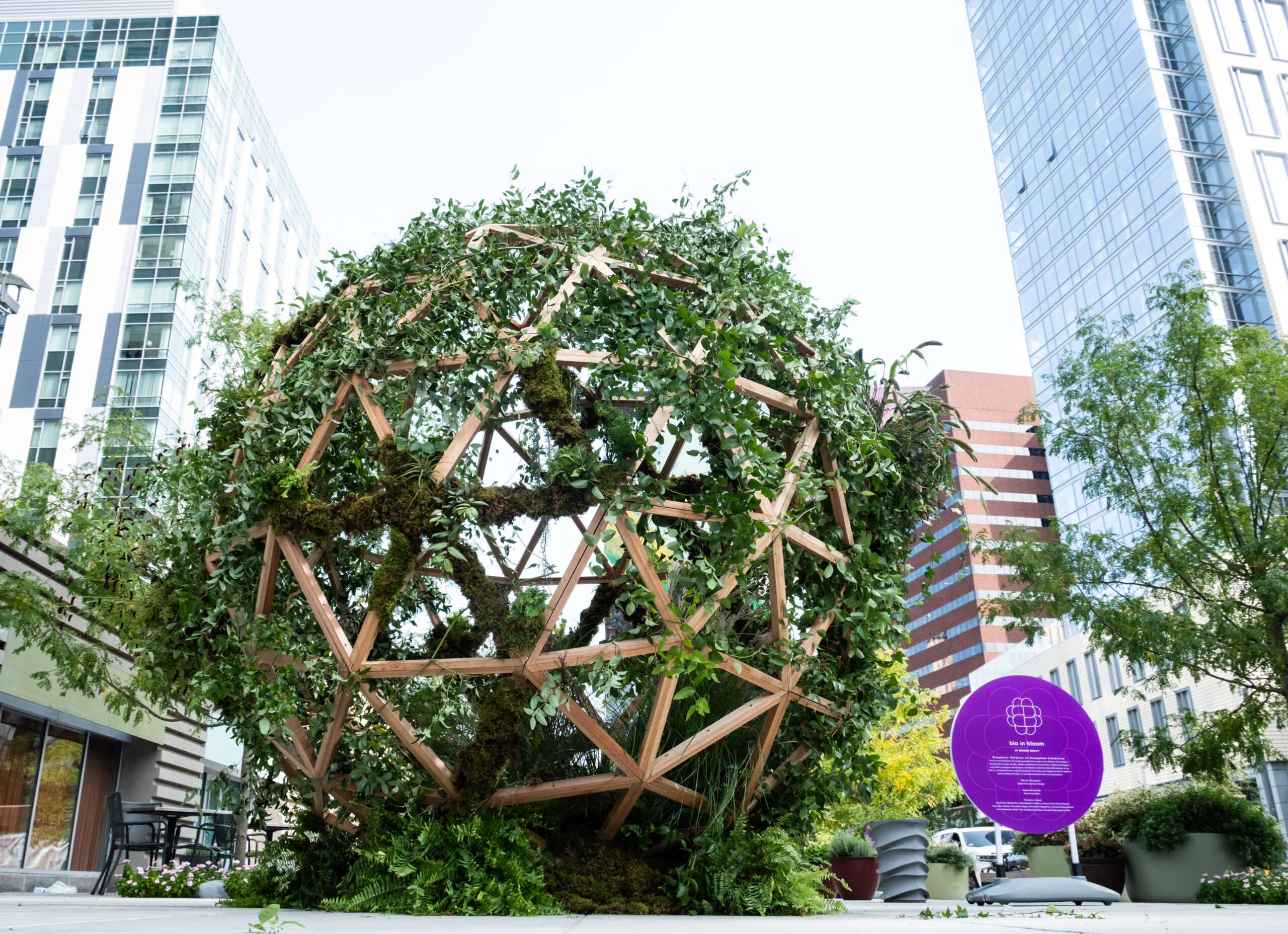 CSF 2023-7 - Siena Construction